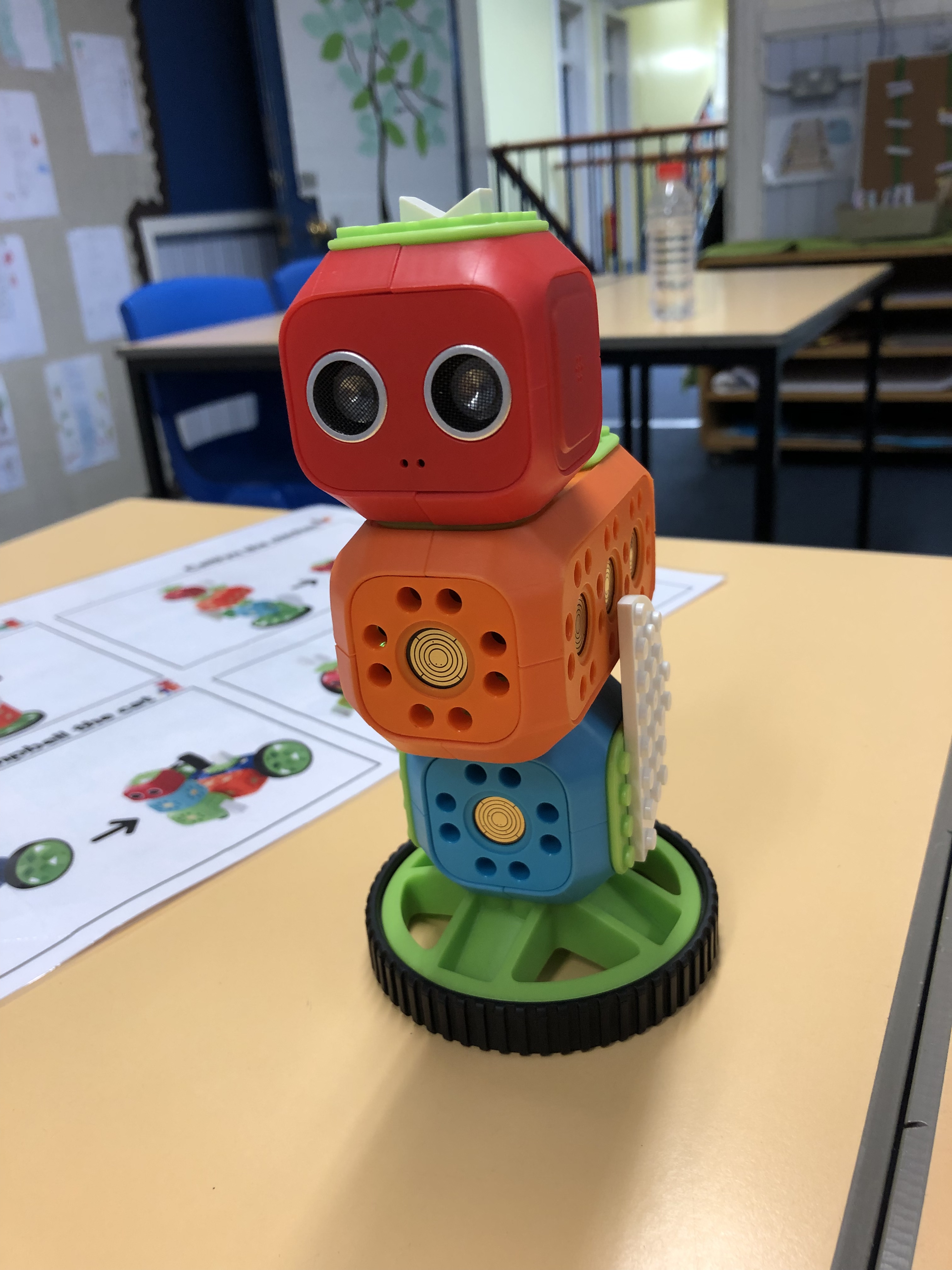 P4 Robots and Animals SSPCA Workshop | Dalry Primary Edinburgh